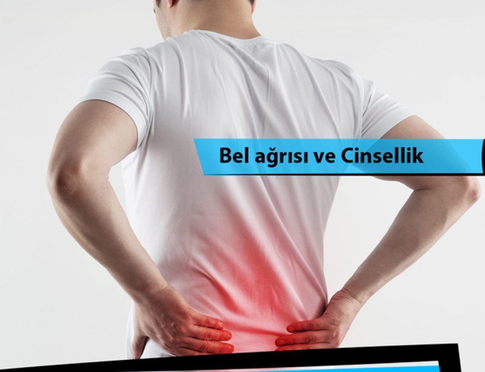 Bel Ağrısı Epidemiyolojisi | Bel Ağrsı Nedenleri - Bel Ağrısı ...